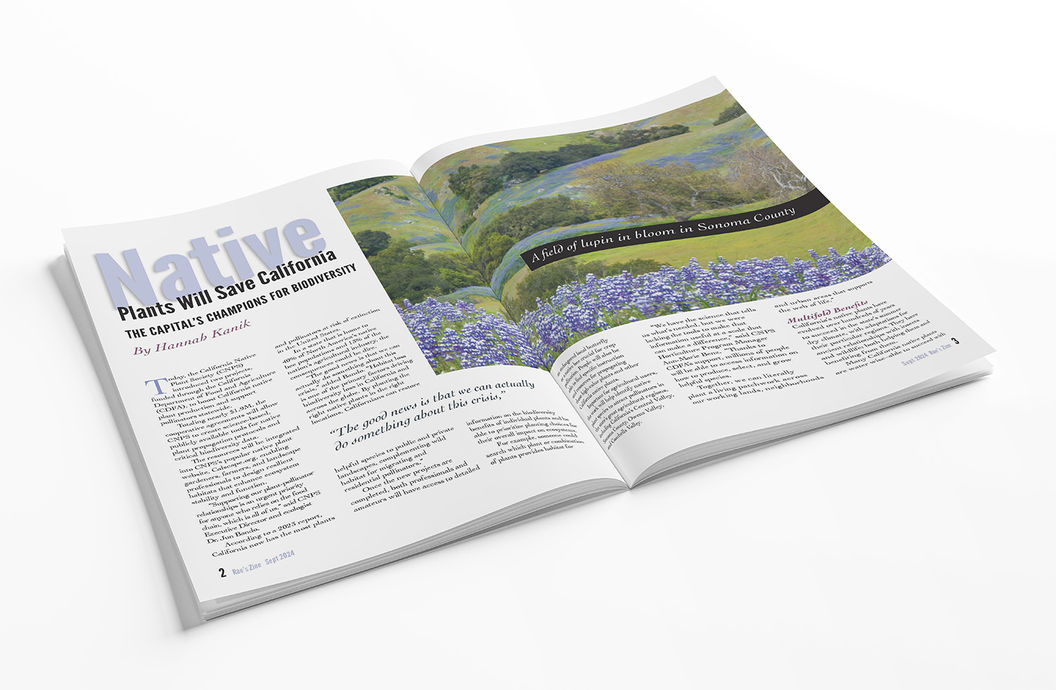 Magazine Layout – Rachel Tietjen
